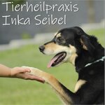 Tierheilpraxis Inka Seibel (Obere Bienhecke No:12, Bad Laasphe), alternatif tıp merkezleri  Kuzey Ren‑Vestfalya'dan