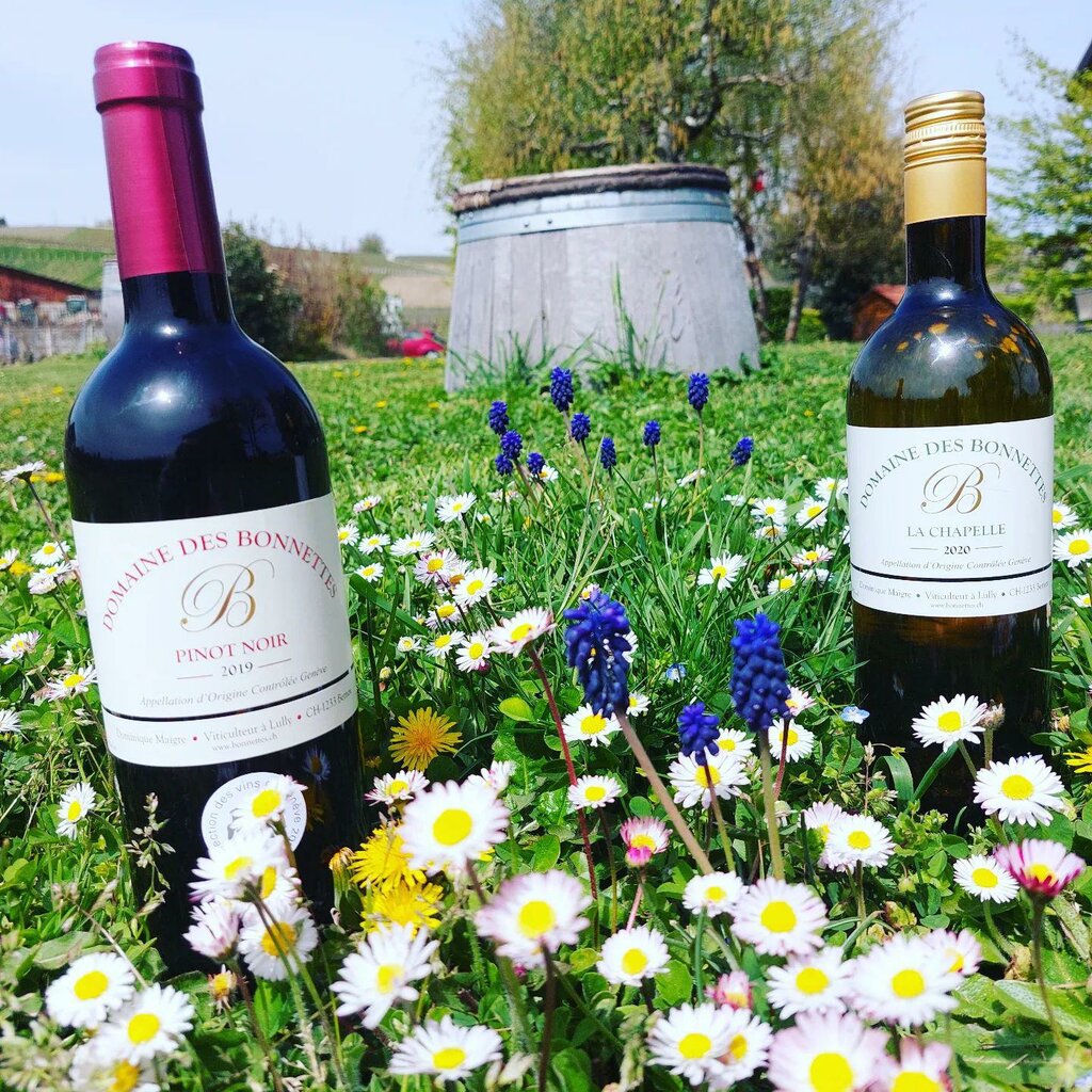 E-ticaret Domaine des Bonnettes - Vin Genève Suisse, Cenova, foto
