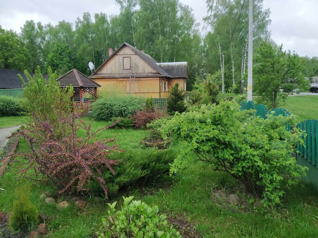 Orman işleri Brodetskoye forestry of the Berezinsky forestry enterprise, Minskaya oblastı, foto