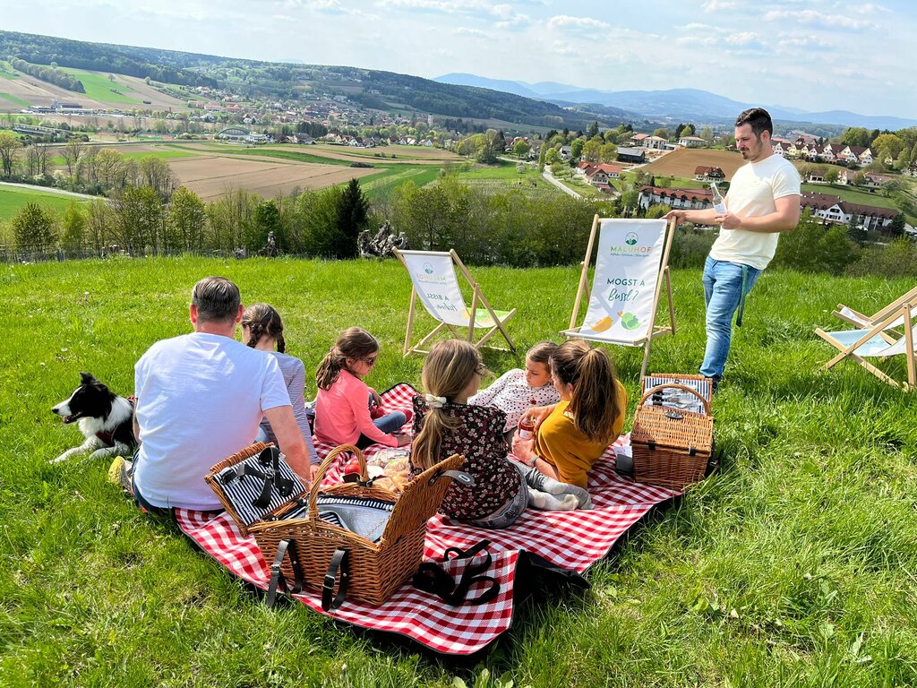 Şarap ve içki toptan satışları Maluhof - Hofladen, Festschenke, Erlebnisgarten, Bad Waltersdorf, foto
