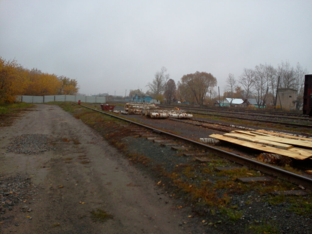 Depo hizmetleri Gruzovoj terminal Rzhd, Bogorodsk, foto