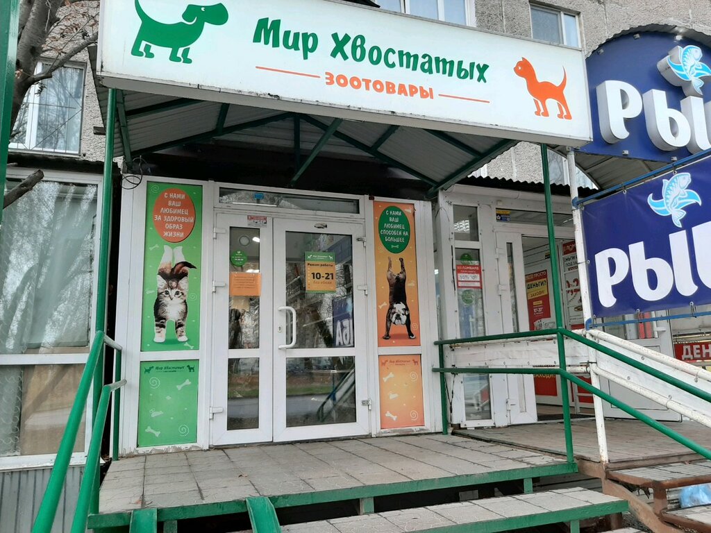 Petshop Mir khvostatykh, Perm, foto