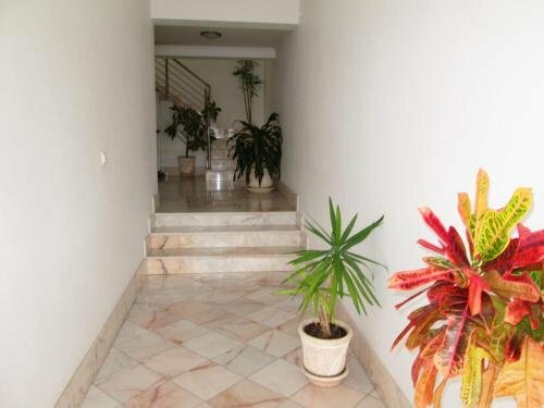 Otel Residencia Machado, Horta, foto