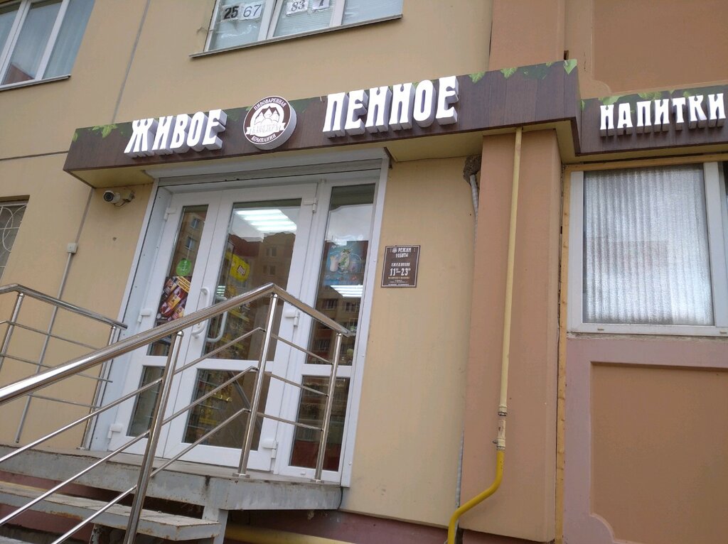 Bira dükkanı Живое Пенное, Voronej, foto