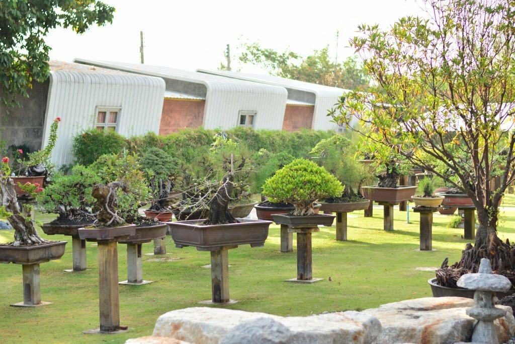 Otel 18 Bonsai Garden Resort, Dünya, foto