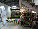 De Fleur (vulica Krupskaj No:119), çiçekçiler  Moguilev'den