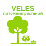 Veles plant nursery (4-ya Kommunalnaya ulitsa No:12А), sera ve bahçe ürünleri  Çita'dan