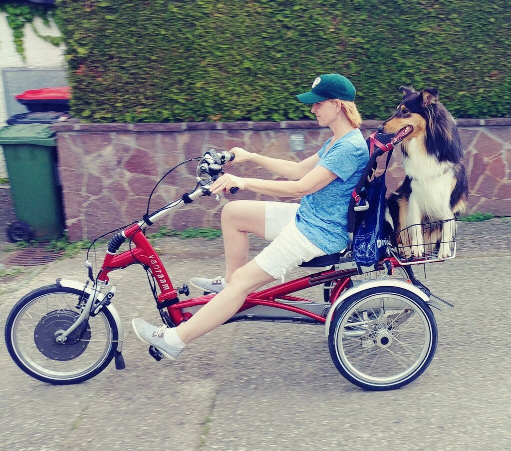 Bisiklet mağazaları Clever Cycling Rudolf Jordan Spezialfahrräder, Yukarı Avusturya, foto