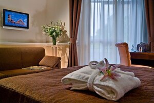 Eliseo Terme (Venice, province of Padua, Abano Terme, Via Stazione, 12), otel