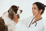 Veterinarnaya klinika VetMir (Danyla Scherbakivskoho Street No:47В), pet otel  Kiev'den