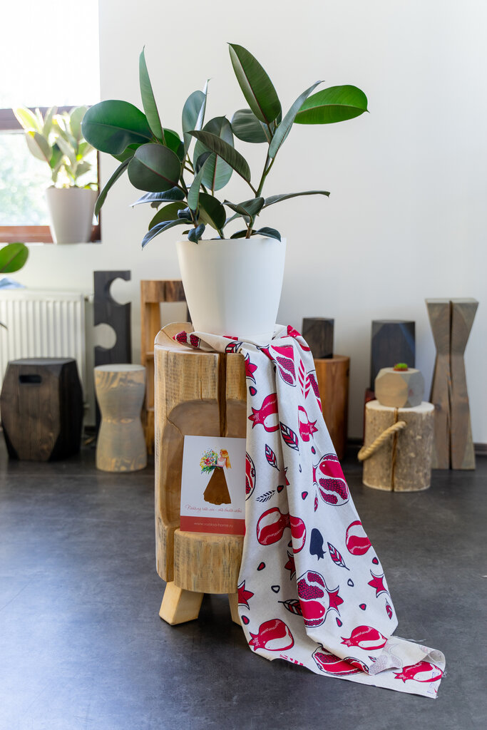 Mefruşat Vuoksa-home, Saint‑Petersburg, foto