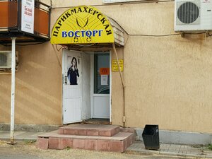 Vostorg (ulitsa Volodarskogo No:35), kuaförler  Orenburg'dan