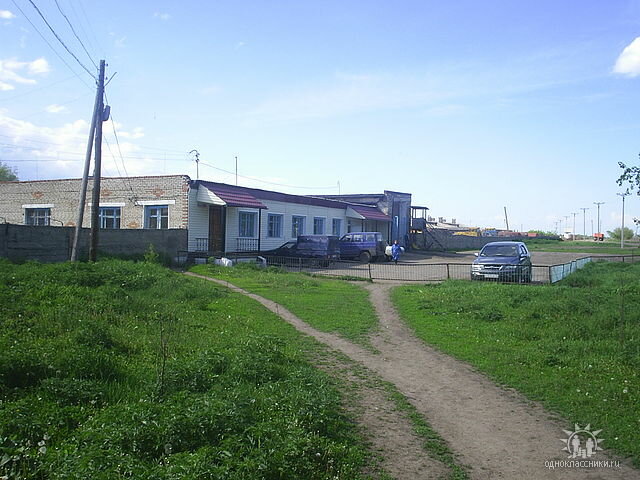 Hayvancılık Антипинское, Altayski krayı, foto