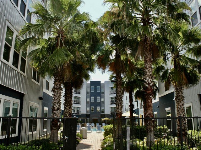 Yurtlar Venue at North Campus, Tampa, foto