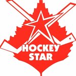 Hockey-star team (Kiyevskogo Vokzala Square No:1), spor kulüpleri  Moskova'dan