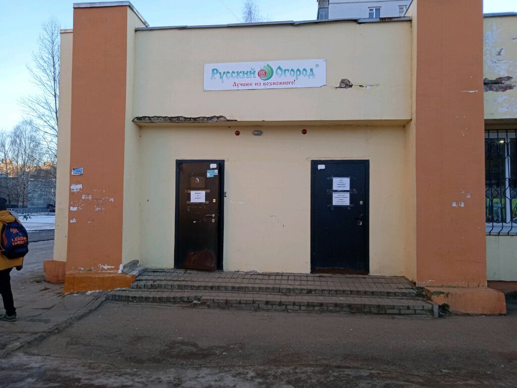 Tohum üretimi Russkoye pole, Yaroslavl, foto