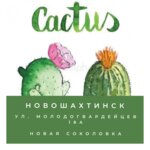 Кактус Детский лофт (ulitsa Molodogvardeytsev No:18), etkinlik organizasyonu  Novoşahtinsk'ten