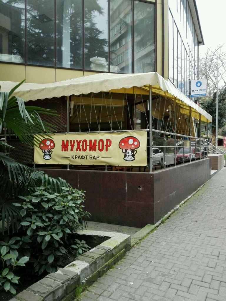Bar Muhomor Craft Bar, Soçi, foto