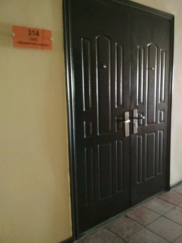 Bilişim firmaları Digital Sector, Krasnodar, foto