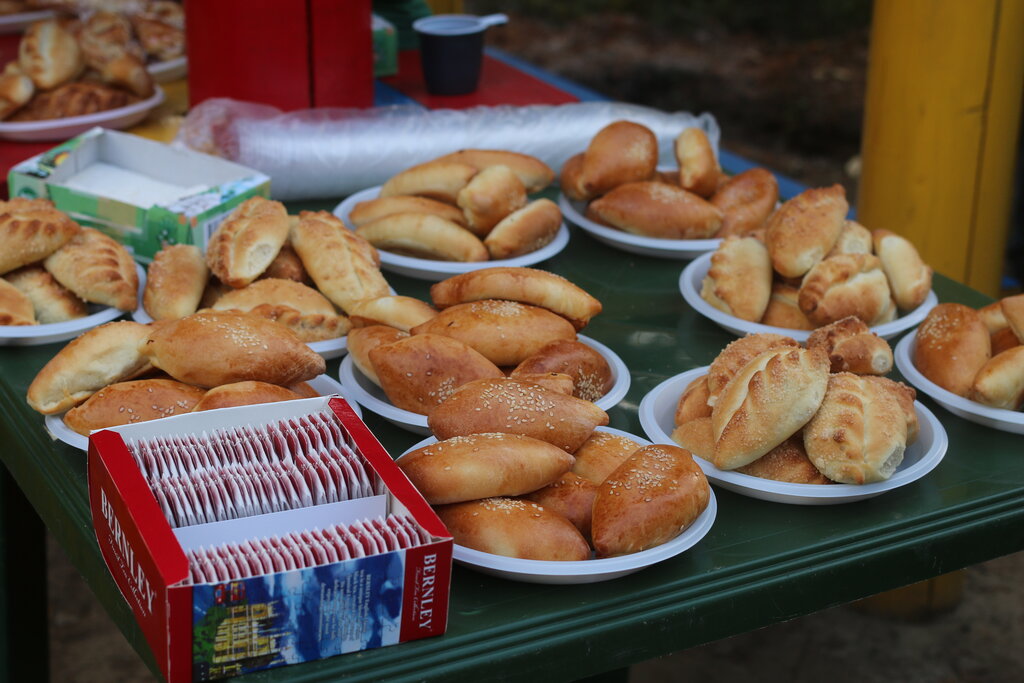 Orman işleri Komitet lesov Respubliki Komi Izhemskoye lesnichestvo Gku Rk, Komi, foto