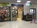 New time (Melentevoy Street No:28), saatçiler  Petrozavodsk'tan