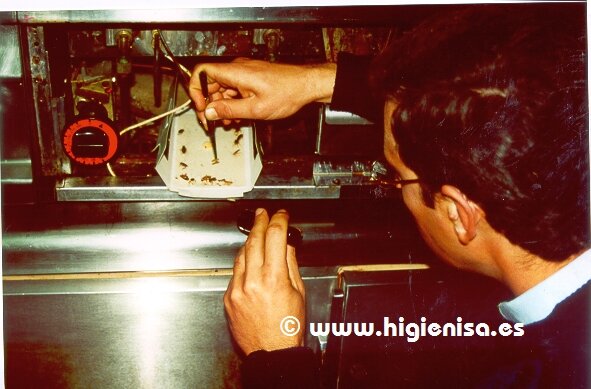 Haşere ilaçlama firmaları Higienisa Control De Plagas - Valencia, Valensiya, foto