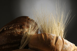 Panetteria Grandi (Trentino-Alto Adige, Bolzano – South Tyrol, Via dei Bottai, 18), ekmek fırını  Bolzano'dan