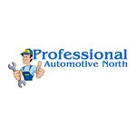 Professional Automotive (Wisconsin, Oneida County), otomobil kliması firmaları  Wisconsin Eyaleti'nden