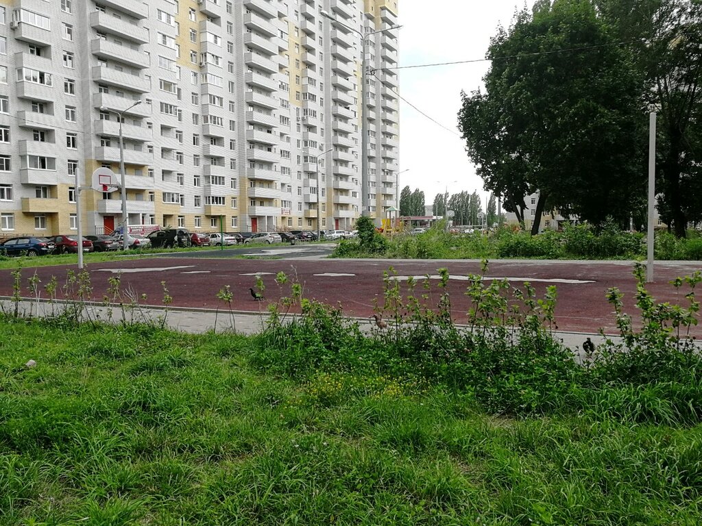 Spor alanı Спортивная площадка, Voronej, foto