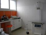 Ambulatorio Veterinario Limite sull'Arno (Tuscany, province of Florence, Vinci, Capraia e Limite), veteriner klinikleri  Empoli'den