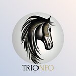 Trionfo (Ippodromskaya Street No:56), koltuk takımı mağazaları  Novosibirsk'ten