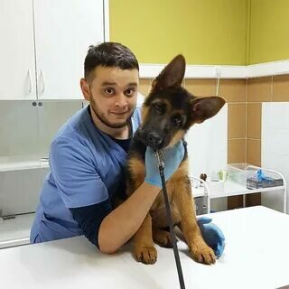 Veteriner klinikleri 9 Jiznei, Podolsk, foto