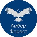 Амбер Форест (Perm Territory, Kungurskiy munitsipalny okrug, selo Plekhanovo), otopark ve tamirhaneler  Permski krayından
