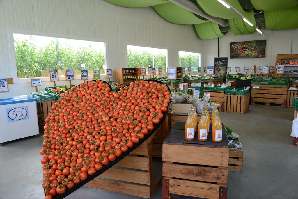 Market Gutknecht Gemüse Hofladen, Fribourg, foto
