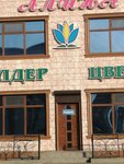 Alina (Atyraý oblysy, Jylyoı aýdany, Kulsary, Rahmetolla Qaramanov kóshesi), çiçekçiler  Kulsarı'dan