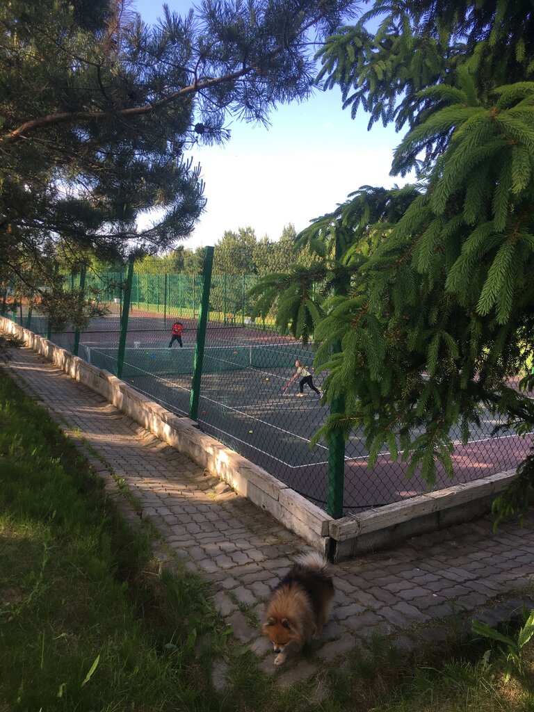 Spor kulüpleri Derzavatennis, Moskova ve Moskovskaya oblastı, foto