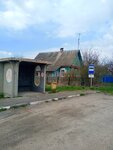 Viazawnica-2 (Magiliowskaja voblasc, Asipovicki rajon, Lipienski sielsaviet, ahraharadok Viazaŭnica, Revolyutsionnaya ulitsa), toplu taşıma durağı  Mogiliovskaya oblastından