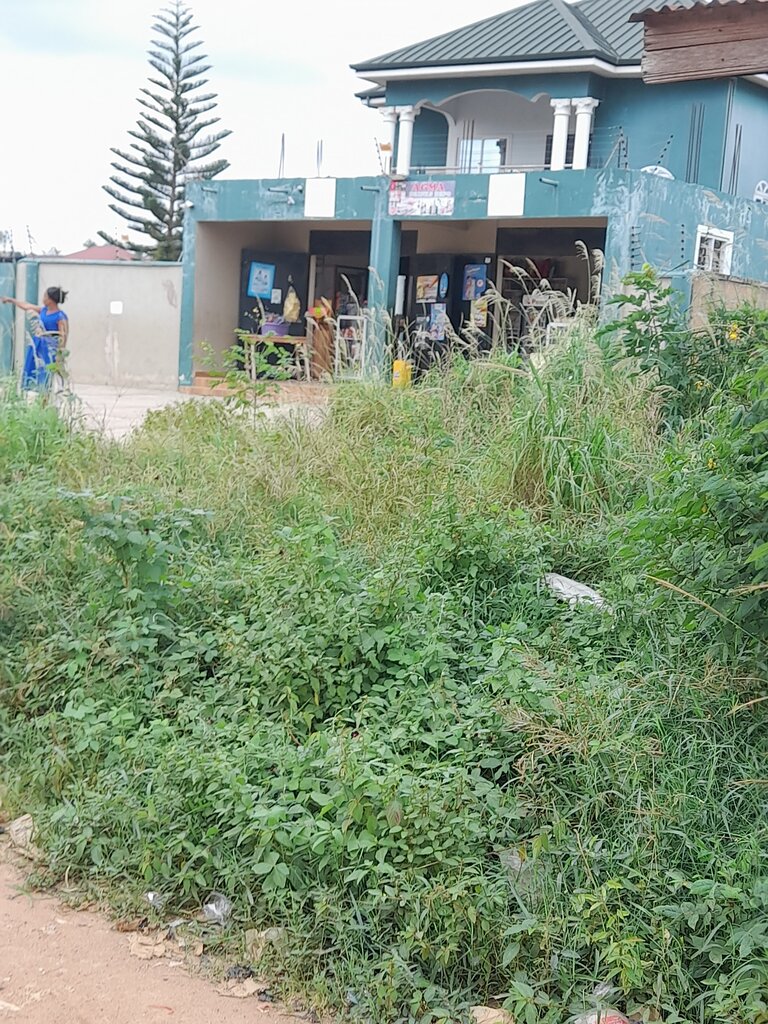 Alkollü içecekler Amga, Dünya, foto