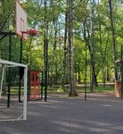 Баскетбольная площадка (Moscow Region, Lobnya, park Reka vremeni), spor alanı  Lobnia'dan