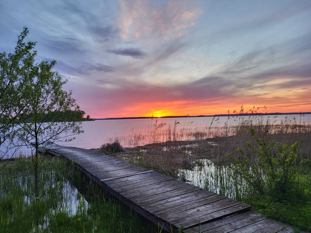 Plaj Пляж, Tverskaya oblastı, foto