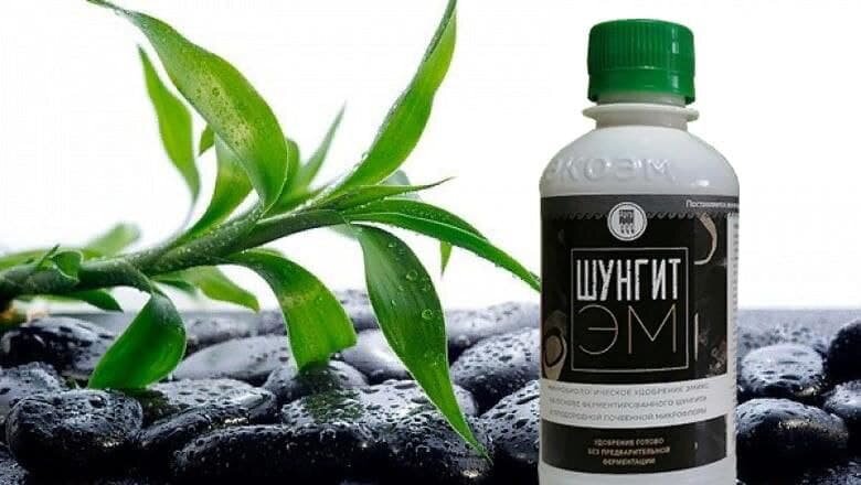 Sağlık ürünleri firmaları Арго, Rubtsovsk, foto