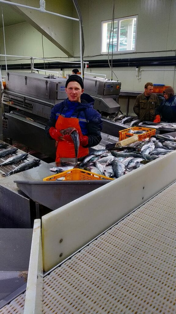 Tarım firmaları Колхоз Октябрь, Kamçatski krayı, foto