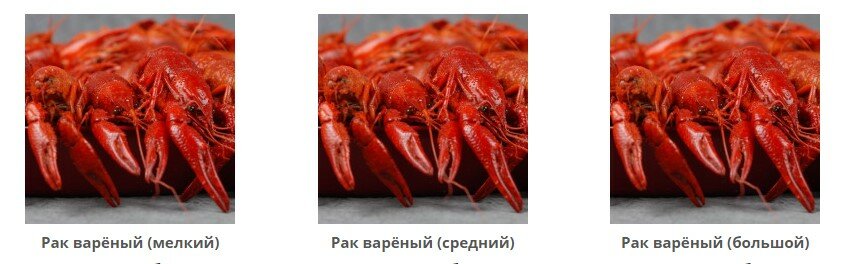 Balık ve deniz ürünleri Lucky Crayfish, Samara, foto