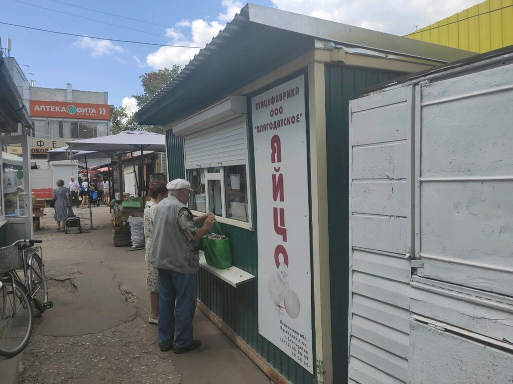 Kanatlı hayvan ürünleri ve yumurta Благодатское, Penza, foto