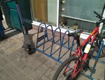 Bicycle parking (Evropeyskiy Avenue No:21к2), bisiklet park yerleri