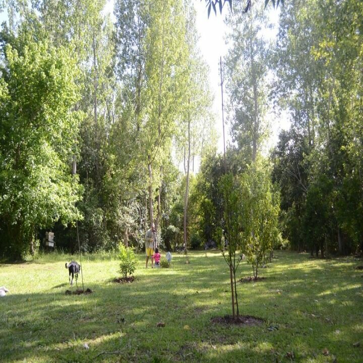 Eğlence merkezleri Quinta la Esperanza, Tigre, foto