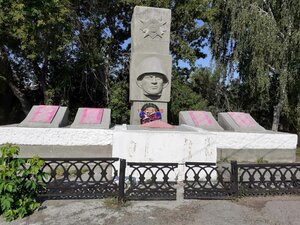 Погибшим в годы Великой Отечественной войны (Kurgan Region, Tselinny munitsipalny okrug, selo Dulino), anıt, heykel  Kurganskaya oblastından