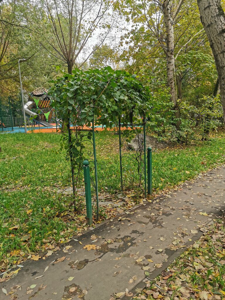 Dekorasyon ve süsleme, onur panosu Северная арка, Moskova, foto