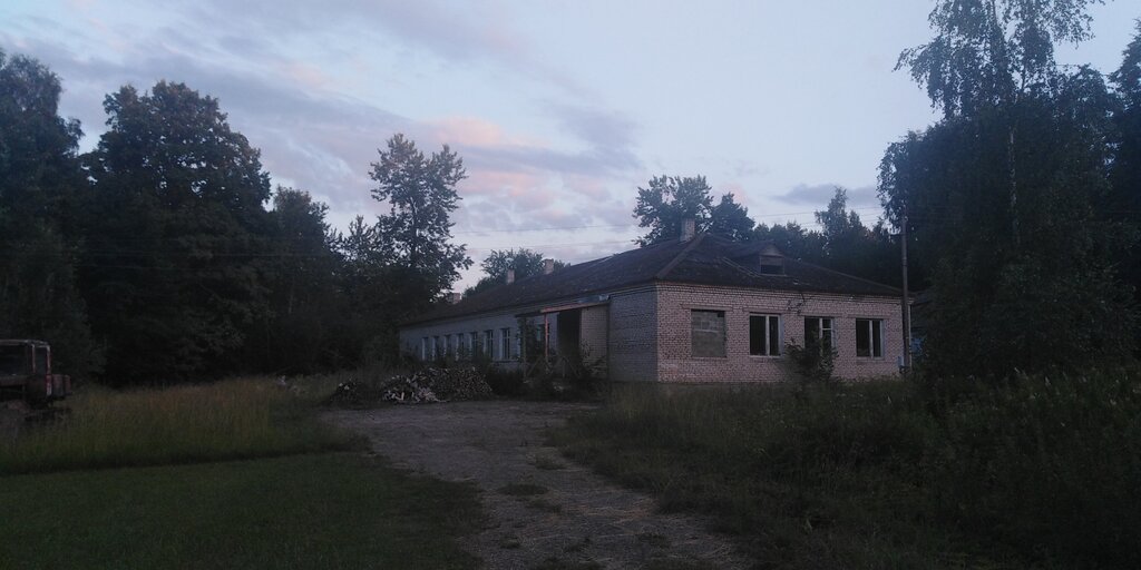 Ortaokul Polyanskaya Osnovnaya Obshcheobrazovatelnaya shkola, Pskovskaya oblastı, foto