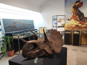 Votkinsky muzey istorii i kultury (Kirova Street No:5), müzeler ve sanat galerileri  Votkinsk'ten